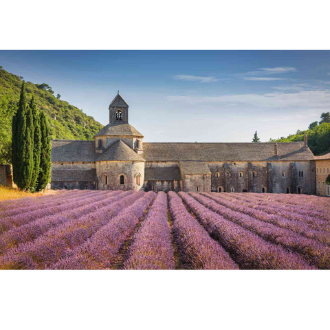 Travel through Scent: explore the fragrance regions of France with Pre ...